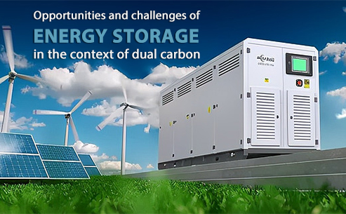 Opportunities and challenges of energy storage in the context of dual ...