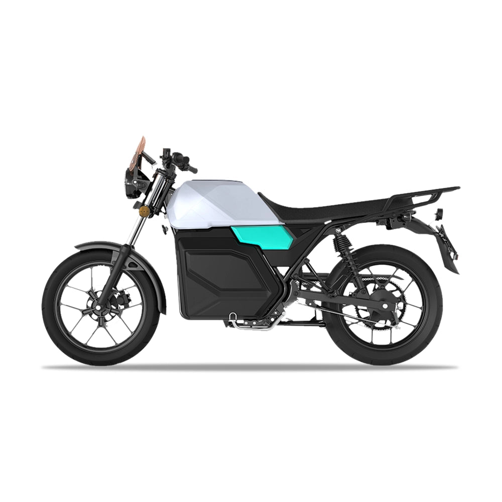 Custom E67 5000W Electric Motorcycle with Dual Swapping Battery System ...